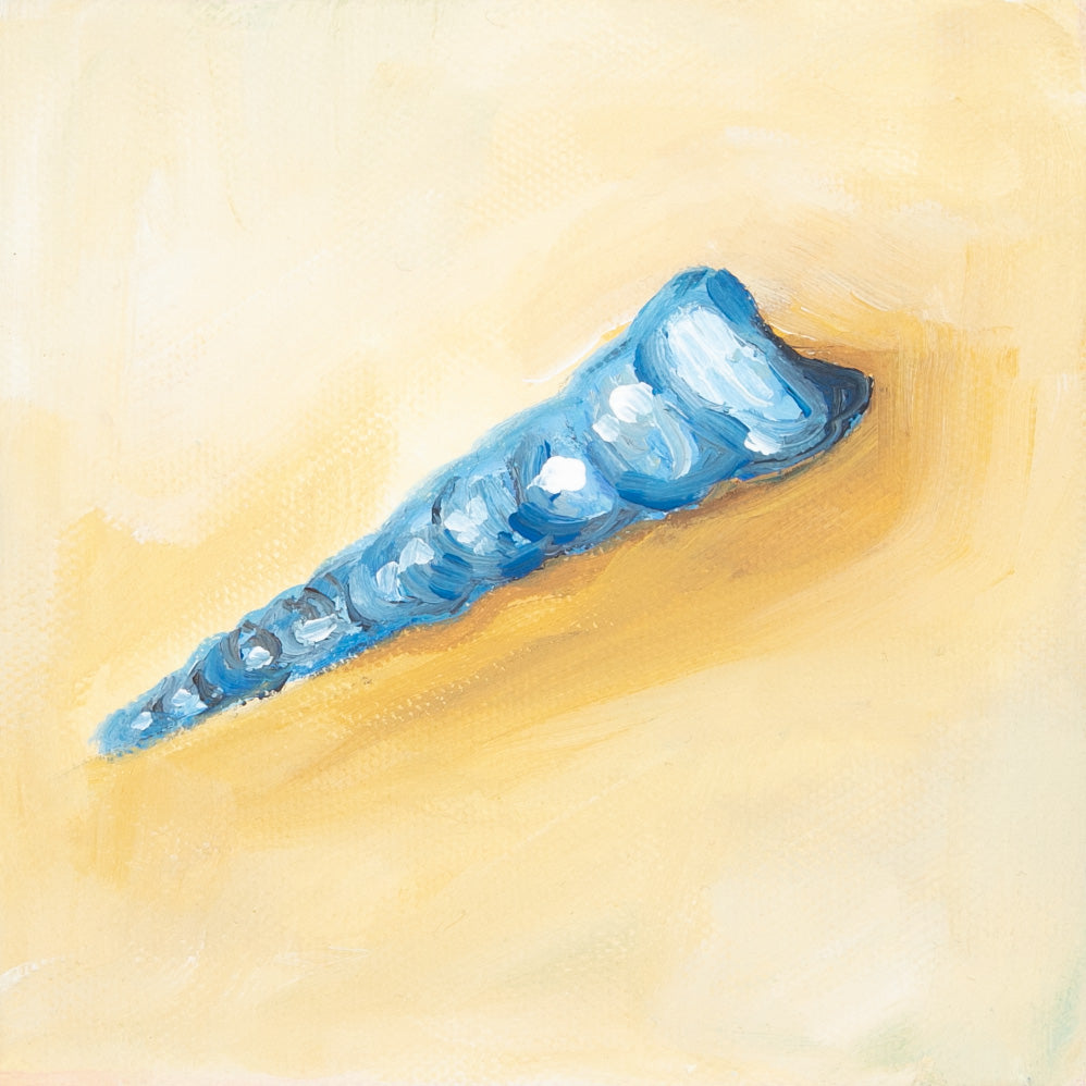 Auger Shell Blue – Mads Studio & Co.