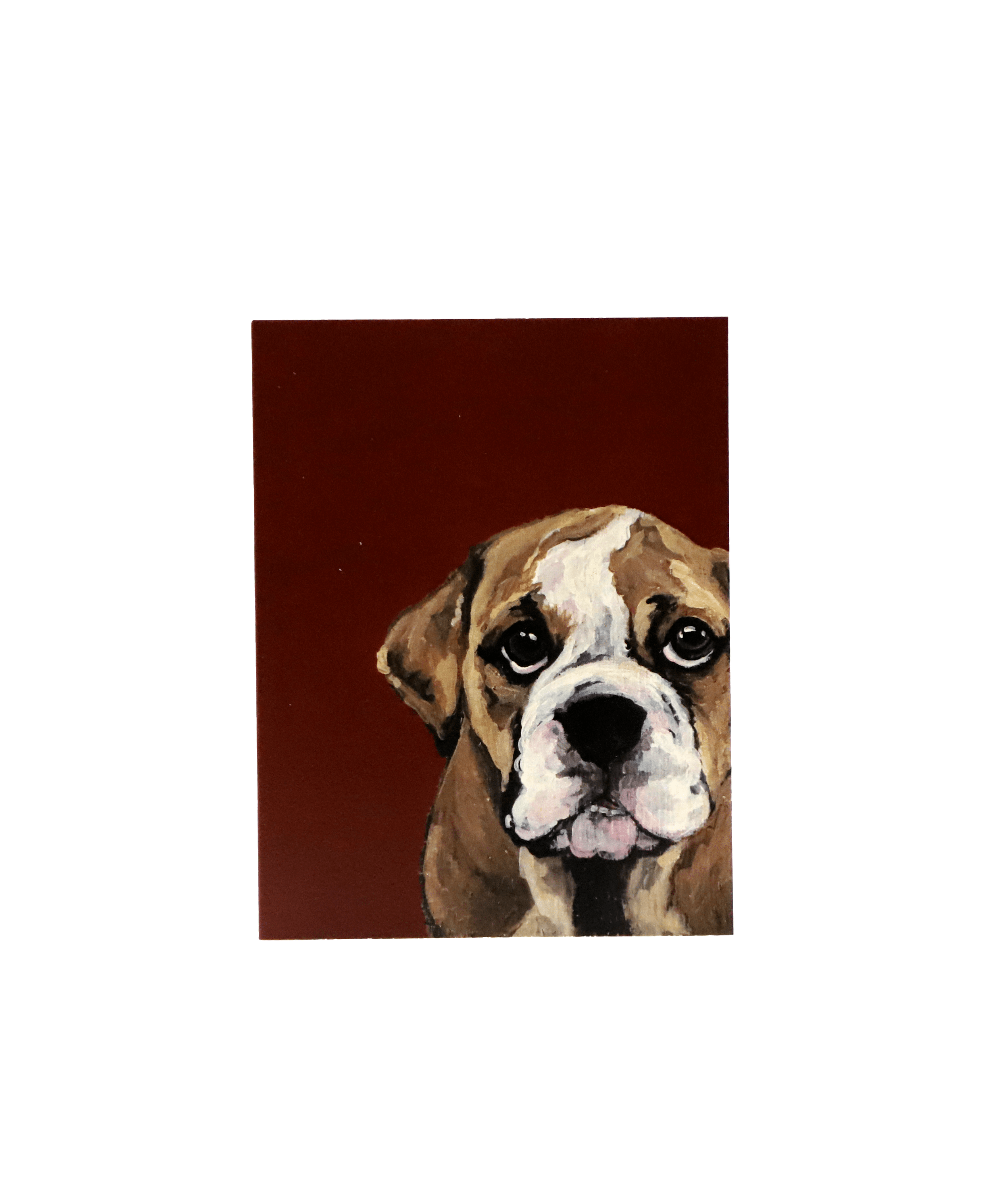 English Bulldog Maroon Enclosure Card – Mads Studio & Co.